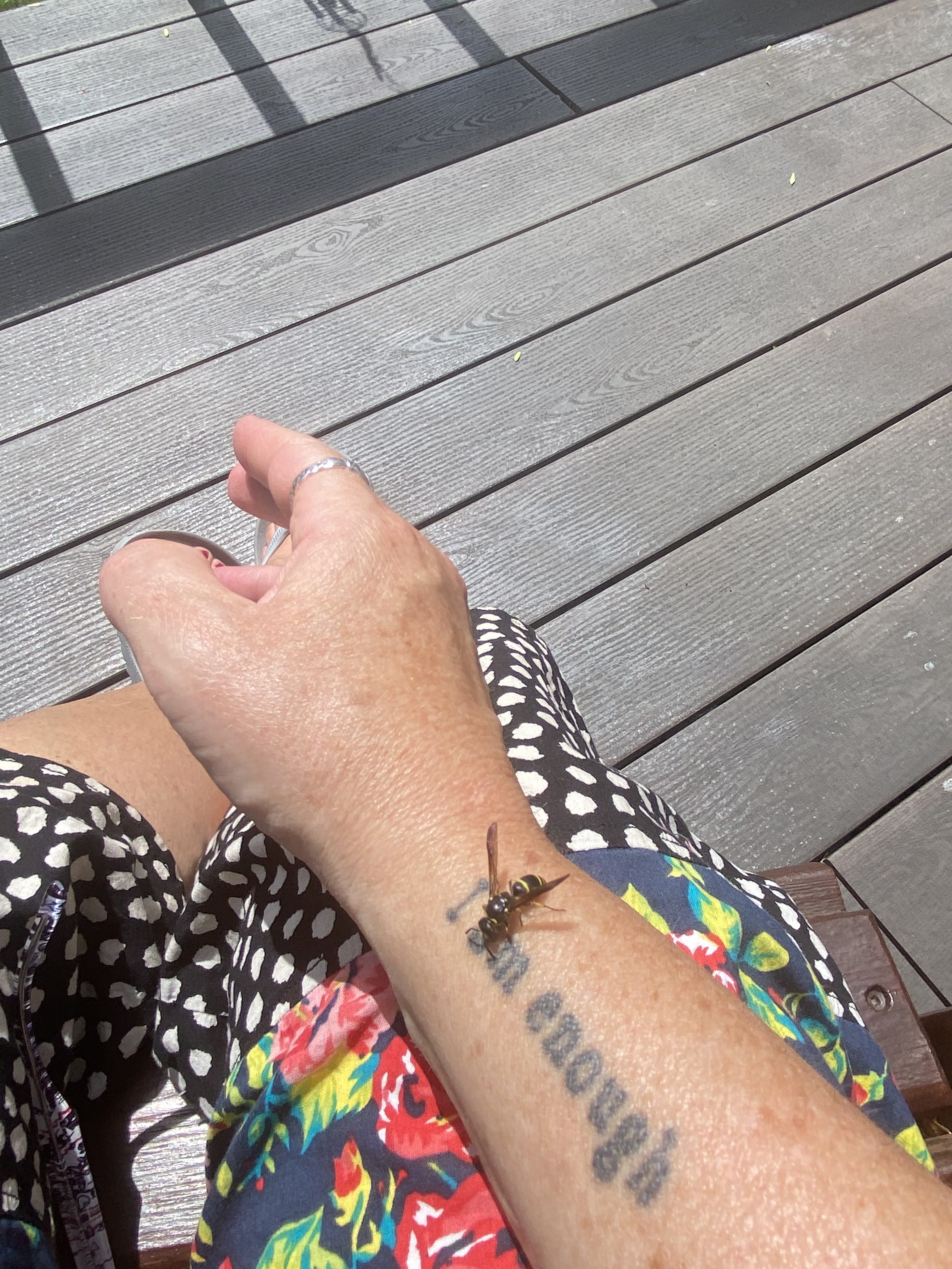 World Bee Day – bridget Hahn