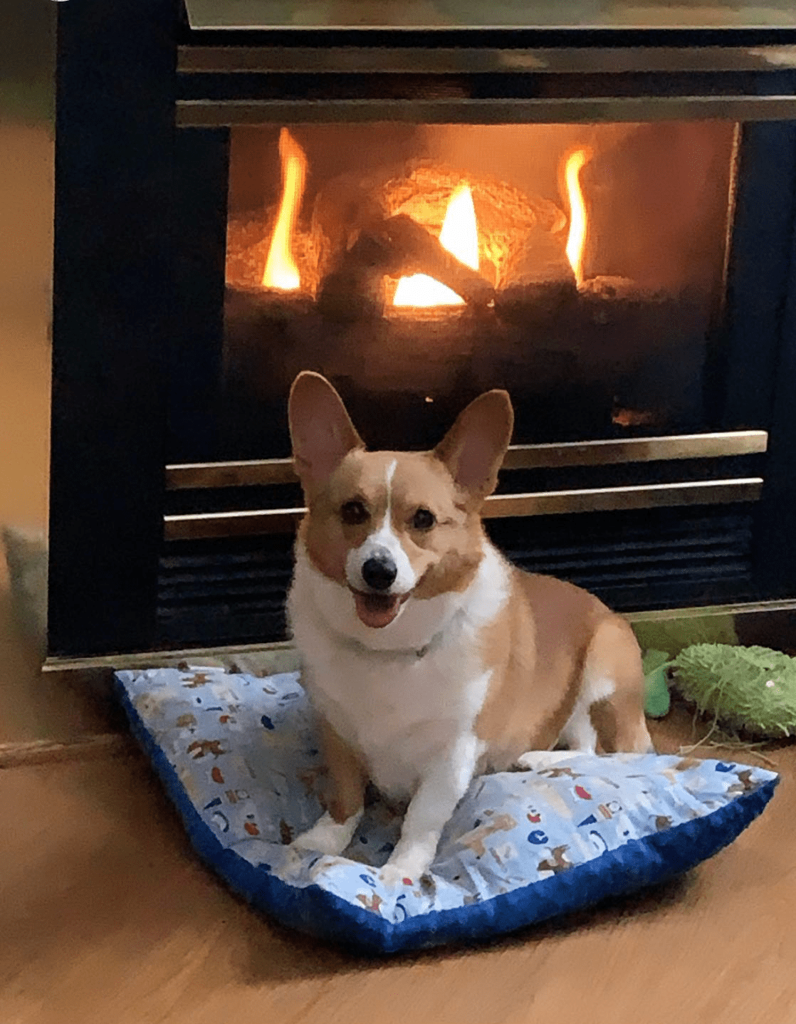 Grief and grieving – bridget Hahn